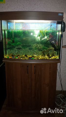 Аквариум фигурный на 100 литров с подставкой