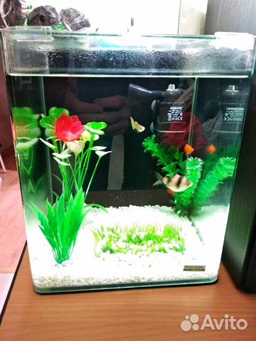 Аквариум dennerle nano cube 20 л + фильтр + компре