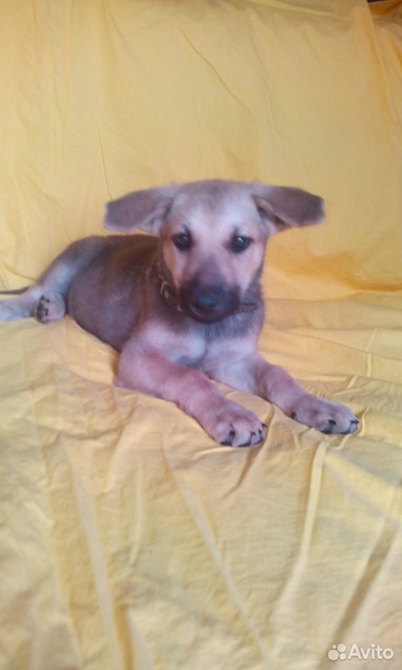 Малышка Мира в добрые руки