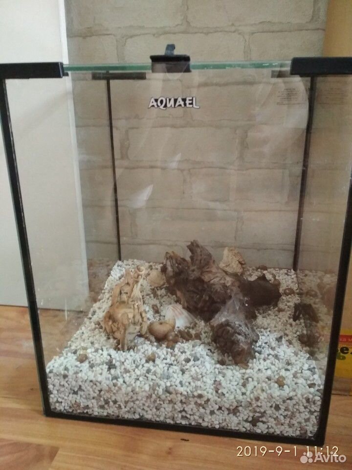 Криветочник