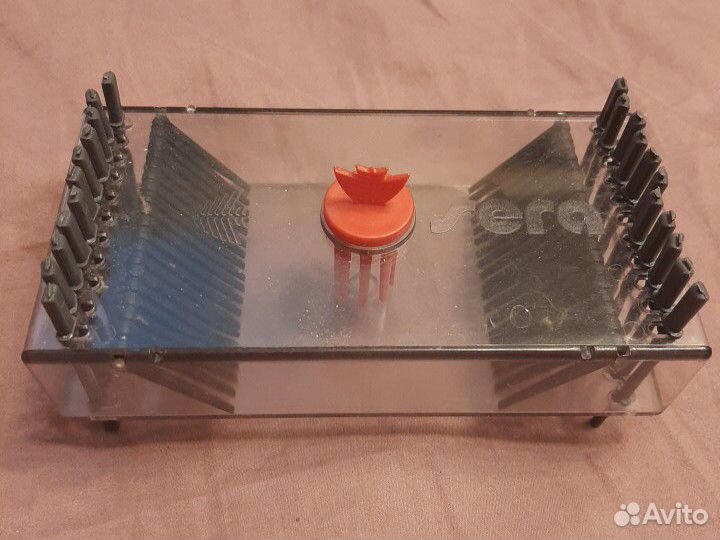 Ловушка для улиток