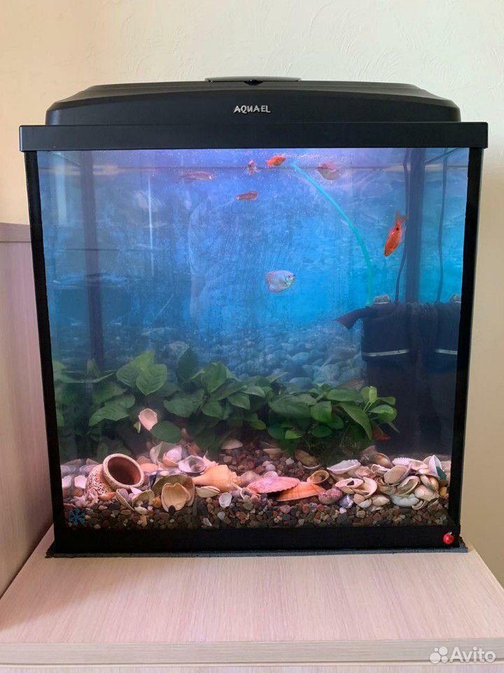 Аквариум панорамный 75л Aquael