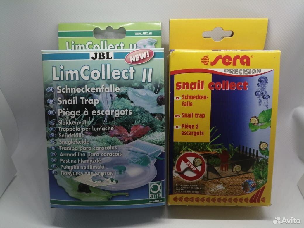 Ловушка для улиток в аквариуме
