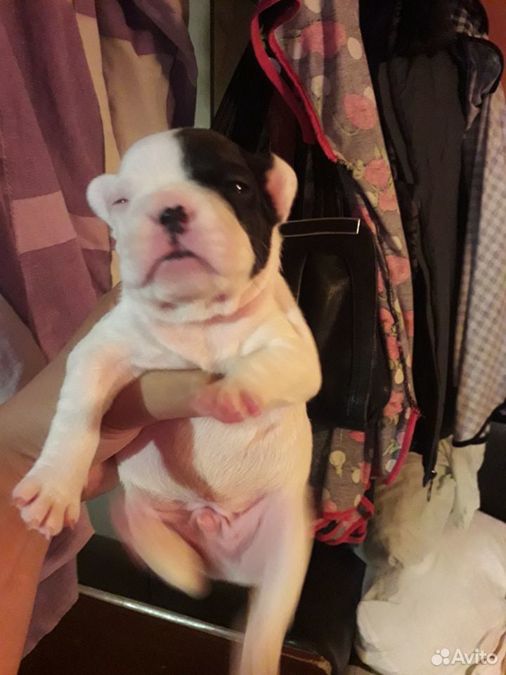 Реальные пацаны