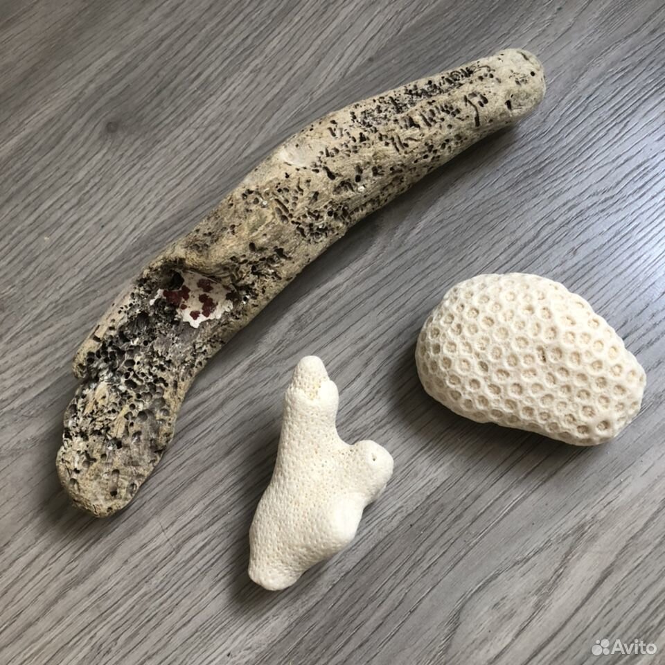 Кораллы (камни) для декора