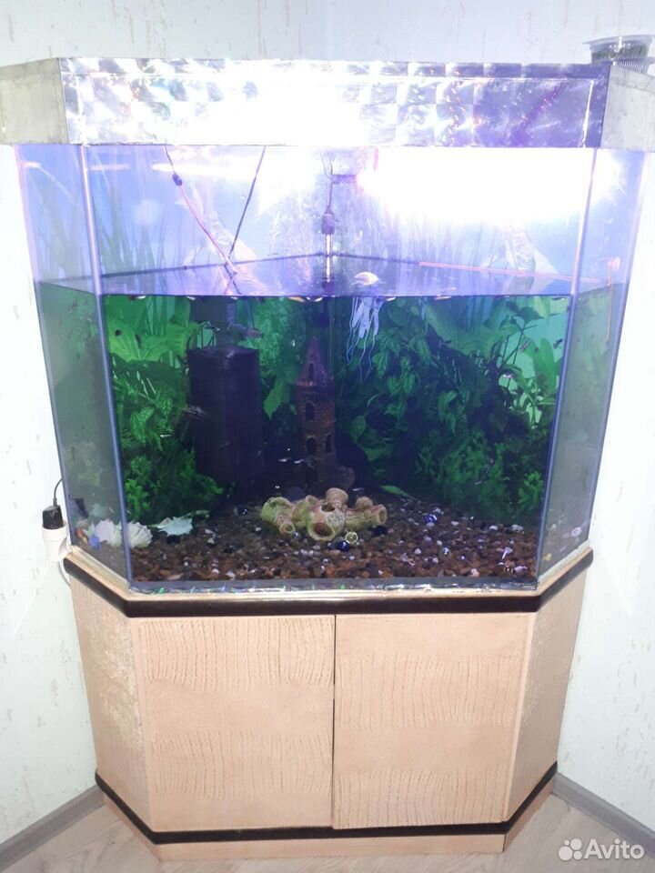 Аквариум