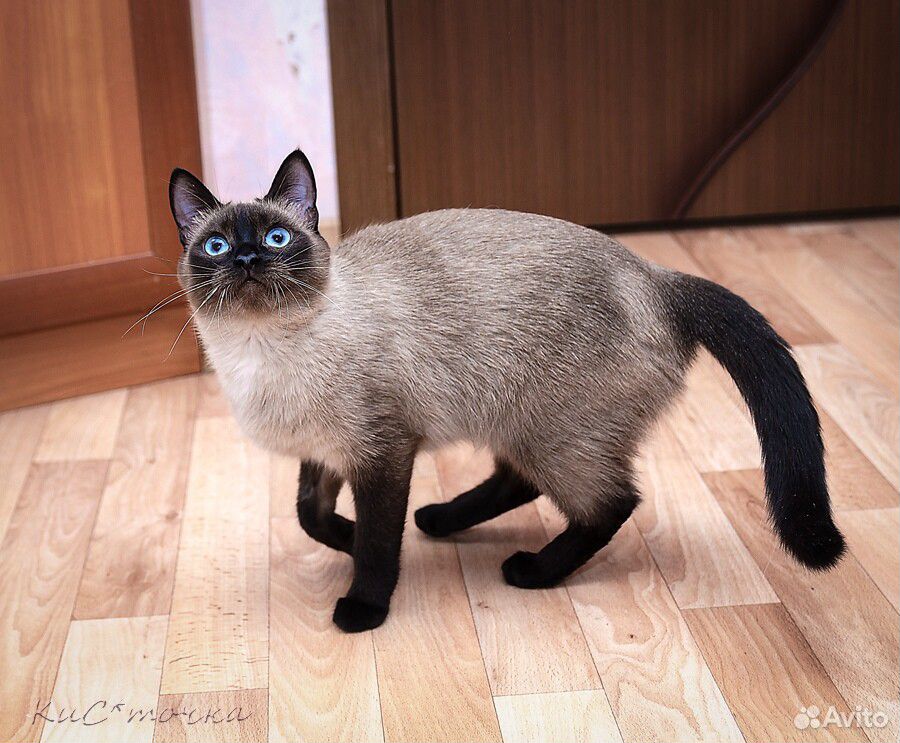 Тайская