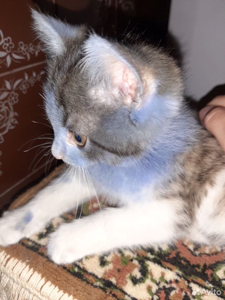 Отдам в хорошие и добрые руки