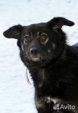 Соня, 3 года, 40 см