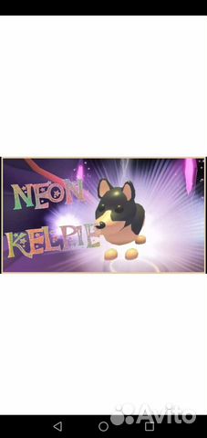 Продам кролика неон в адопт ми