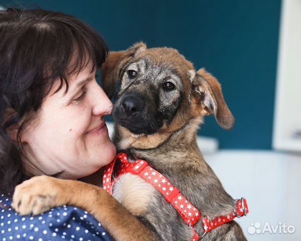 Мама плачет, ищет Добрые Ручки, помогите найти