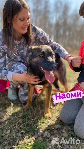 Чудесная собачка Наоми подарит счастье