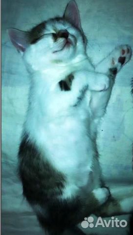 Невероятная Лёлечка