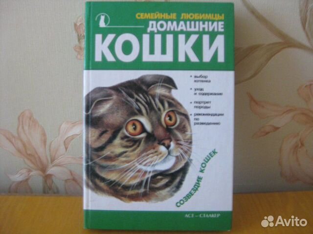 Теплые коты - Мурчащие пушистики