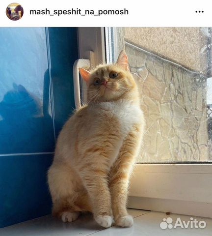 Экзотическая