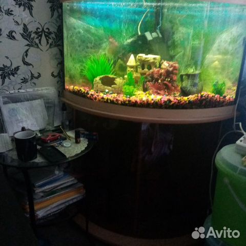 Аквариум