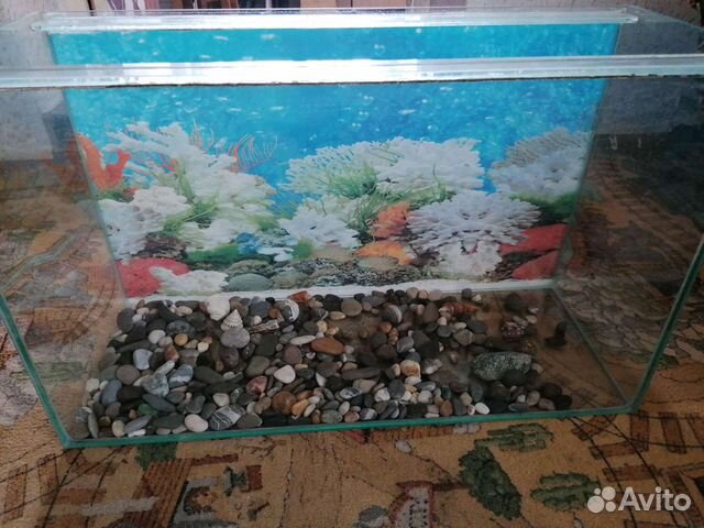 Аквариум