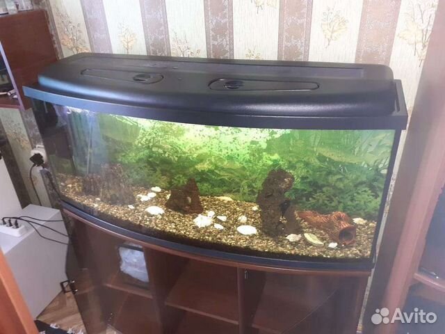 Аквариум со столом