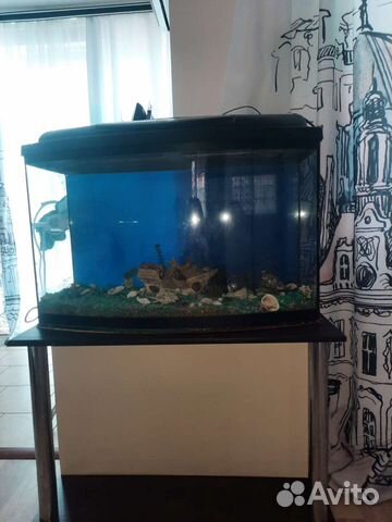 Аквариум