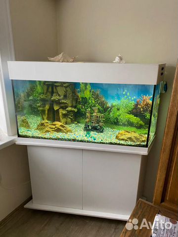 Аквариум