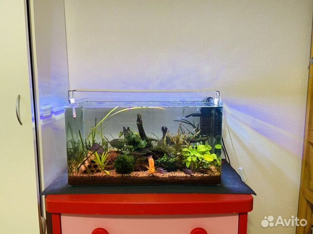 Аквариум травник с закругленными углами