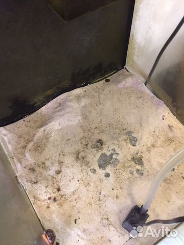 Живой песок для морского аквариума