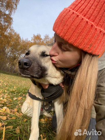 Локки ждёт тебя в приюте