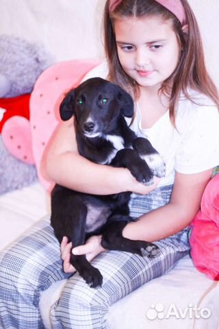 Малыш брюнет 5 кг