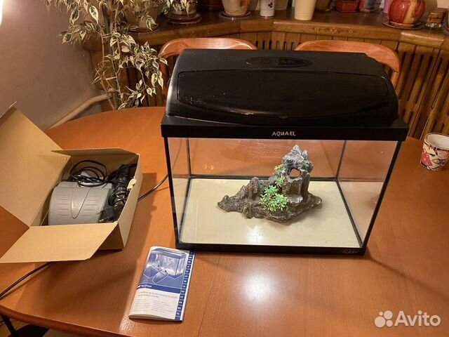 Аквариум