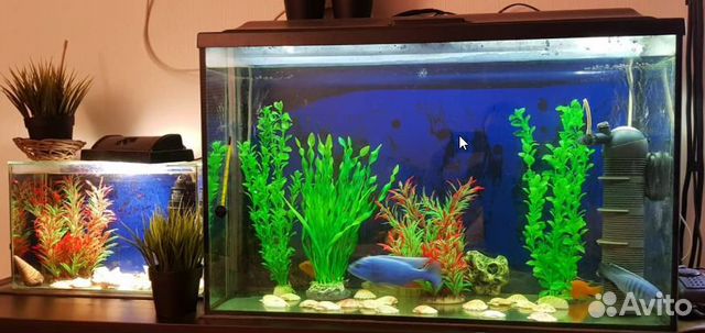 Внутренний фильтр eheim 2413 Biopower