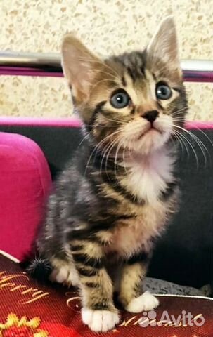 Малышам - карандашам некуда завтра идти