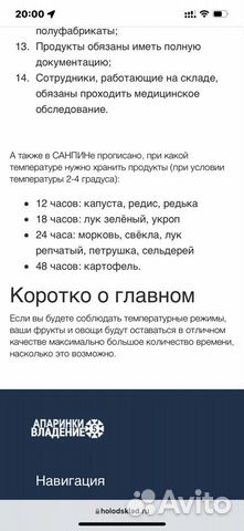 Собаки чихуахуа бесплатно отдам в хорошие руки