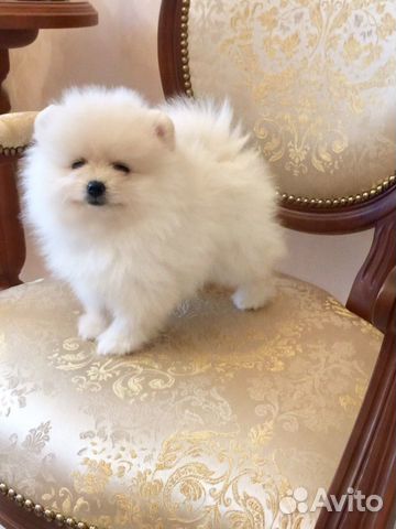 Пом на миллион