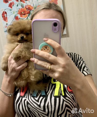 Мини шпицуля