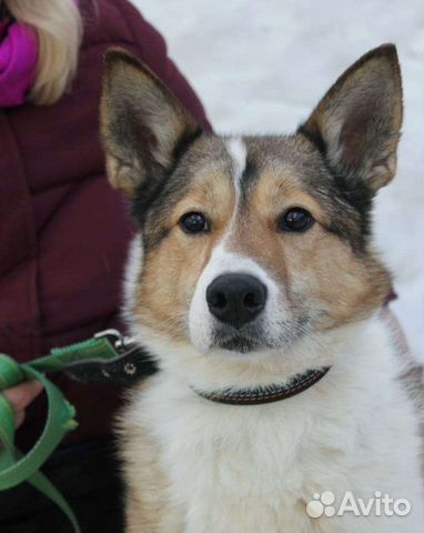 Хороша я, хороша, да плоха одета