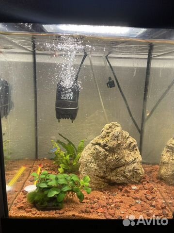 Аквариум 20 литров