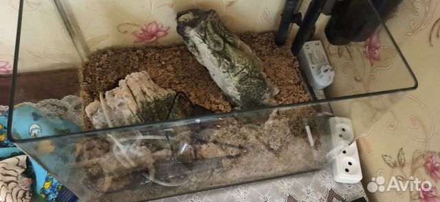 Аквариум на 50 литров