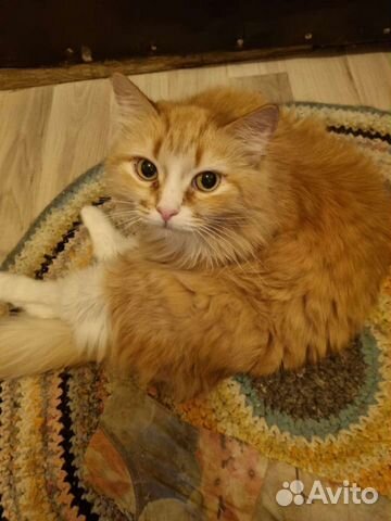 Нереальная красота