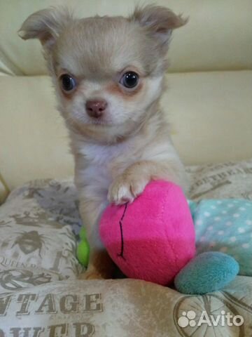 Мини - девочка