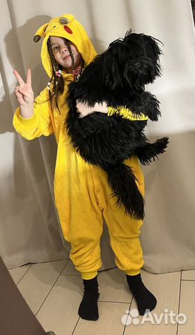 Отдам бесплатно собаку