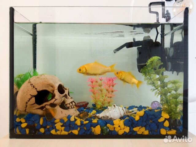 Аквариум с рыбками