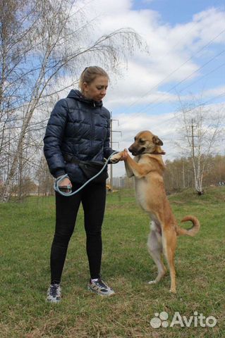 Меня предали дважды