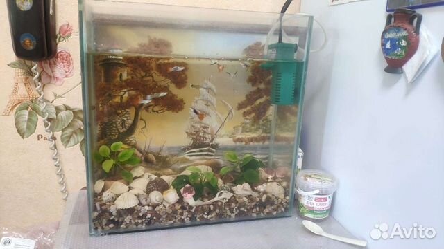 Аквариум