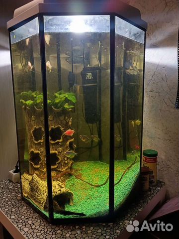 Аквариум 100 литров