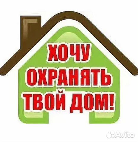 Метис овчарки для охраны и для души