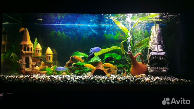 Аквариум "Ferplast Dubai 120" 240л, фильтры