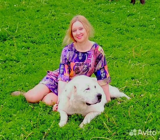 Выставочный хендлинг для собак крупных пород Алаба