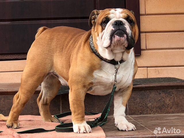 Ищу подружку для Винтажа