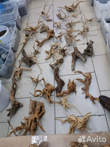 Коряги в аквариум красивые,ветвистые