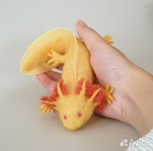 Тритоны и аксолотль